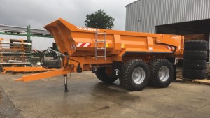 Benne TP - Dangreville